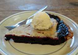 Honeyberry Recipes / (Haskap Recipes)